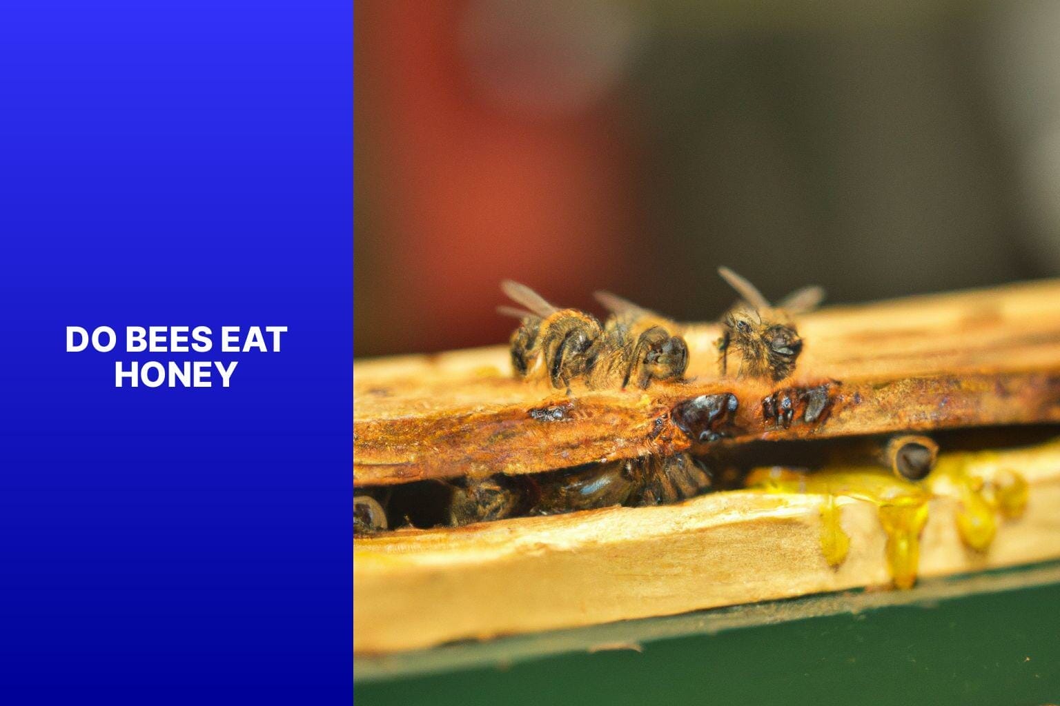 Do Bees Eat Honey?